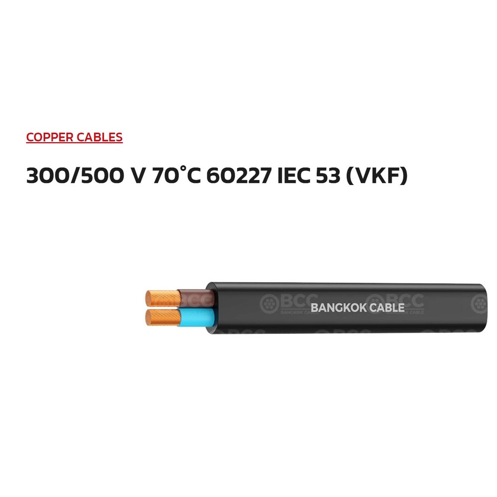 BCC สายไฟ IEC53 VKF 2x1 SQ.MM. 100ม. สีเทา |GlobalHouse
