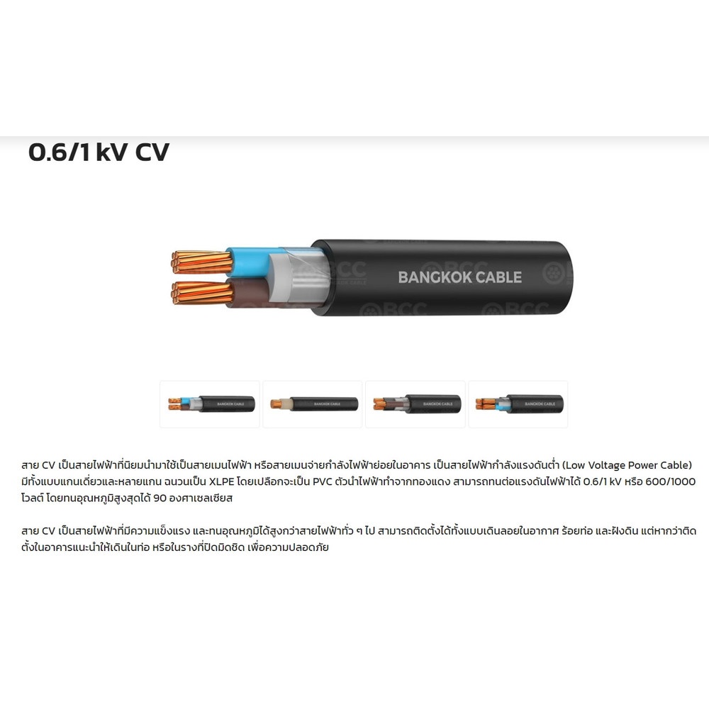 BCC สายไฟ kV CV 2x2.5 ตร.มม. 100 m. สีดำ |GlobalHouse
